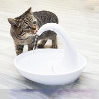 China 1.8L Automatic Pet Water Fountain with Smart Pump for Cats and Dogs - Food Grade Plastic Construction for sale