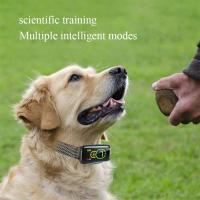 China IP67 Waterproof Dog Training Collar with 4 Modes, 200mAH Battery, 18-Day Battery Life for Effective Bark Control for sale
