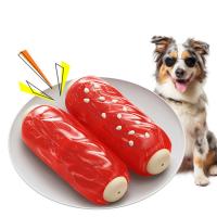 China Durable Dog Chew Toys for Aggressive Chewers - TPR Material with Squeaky Interactive Features and 6000 sqm Manufacturing Facility for sale