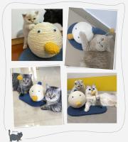 China Handmade Sisal Cat Scratching House Toy for Small Animals Durable 30cm Scratch Post for sale