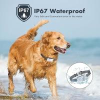 China Rechargeable Bark Control Collar with 7 Sensitivity Levels, 300mAH Battery and IP67 Waterproof Rating for Dog Training for sale