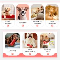 China Durable Dog Chew Toys for Aggressive Chewers - TPR Material with Squeaky Interactive Features and 6000 sqm Manufacturing Facility for sale