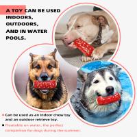 China Durable Dog Chew Toys for Aggressive Chewers - TPR Material with Squeaky Interactive Features and 6000 sqm Manufacturing Facility for sale
