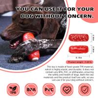 China Durable Dog Chew Toys for Aggressive Chewers - TPR Material with Squeaky Interactive Features and 6000 sqm Manufacturing Facility for sale