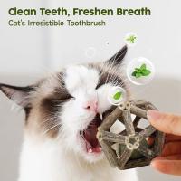 China Natural Silvervine Cat Toy Ball with Catnip - 100% Organic Dental Health Chew Toy for Cats and Small Dogs for sale