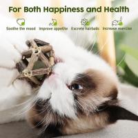 China Natural Silvervine Cat Toy Ball with Catnip - 100% Organic Dental Health Chew Toy for Cats and Small Dogs for sale