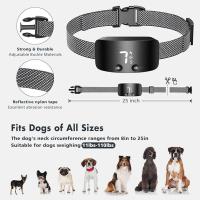 China Rechargeable Anti-Barking Dog Training Collar with 7 Sensitivity Levels and IP67 Waterproof Rating for sale