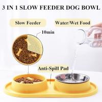 China 500ml Automatic Pet Feeder with Slow Feeding Design and Spill-Proof Silicone Base for Healthy Pet Digestion for sale