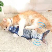 China Electric Flopping Fish Cat Toy with 3D Carp Design, USB Charging 5V 2A and Motion Sensor for Pet Entertainment for sale