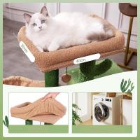 China Sustainable Cactus Cat Tree 30inch Tall Multi-Level Cat Tower with Cat Condo for sale