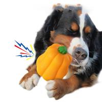 China Interactive Pumpkin Dog Chew Toy - Durable TPR Material with Custom Embossing for Aggressive Chewers and Interactive Play for sale