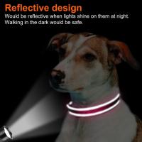 China Medium-Sized Canines Custom Logo Reflective Dog Collar with Soft Neoprene Padding for sale