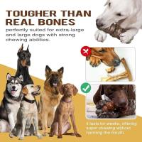 China Durable Nylon Dog Squeak Toy Stick Bone for Teeth Cleaning - Customizable Colors & Embossing for All Dog Sizes for sale