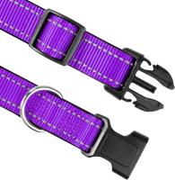 China Custom Nylon LED Flashing Dog Collar Leash Night Safety Glow Dark Pet Accessories 28-60cm for sale