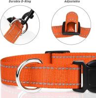 China Custom Nylon LED Flashing Dog Collar Leash Night Safety Glow Dark Pet Accessories 28-60cm for sale
