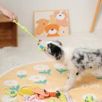 China 7 Piece Cotton Puppy Chew Rope Toy Set for Interactive Play and Dental Health for sale