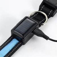 China Waterproof LED AirTag Dog Collar with Night Lights - 2.5cm Width, 20-60cm Length Options for Pet Safety for sale