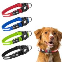 China Waterproof LED AirTag Dog Collar with Night Lights - 2.5cm Width, 20-60cm Length Options for Pet Safety for sale