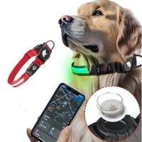 China Waterproof LED AirTag Dog Collar with Night Lights - 2.5cm Width, 20-60cm Length Options for Pet Safety for sale