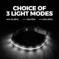 China USB Rechargeable LED Dog Collar with 12 Bright Beads, 70cm Adjustable Length, IPX6 Waterproof Pet Safety Light for sale