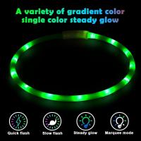 China USB Rechargeable LED Dog Collar with 12 Bright Beads, 70cm Adjustable Length, IPX6 Waterproof Pet Safety Light for sale