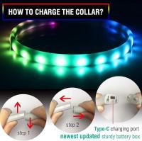 China USB Rechargeable LED Dog Collar with 12 Bright Beads, 70cm Adjustable Length, IPX6 Waterproof Pet Safety Light for sale