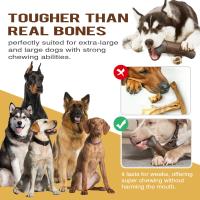China Custom TPR Dog Chew Toy for Aggressive Chewers Durable Nylon Pet Toy 2 Sizes for sale