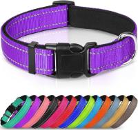 China LED AirTag Dog Collar with Light-Up Feature 28-60cm Adjustable Waterproof Pet Safety Collar for sale