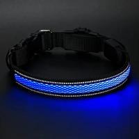 China Reflective PVC Silicone Waterproof Dog Collar with Tracker Holder - 2.5cm Width, 20-60cm Length Options for sale
