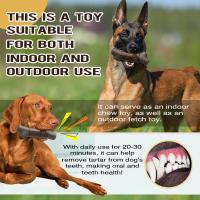 China Indestructible Nylon TPR Dog Chew Toy Interactive Tooth Cleaning Bone Squeak Toy for Aggressive Chewers for sale