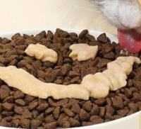 China High Protein Cat Treat Stick with 55% Meat Content - 24 Month Shelf Life Wet Food for All Life Stages for sale
