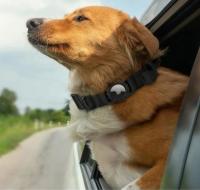 China Reflective Nylon Dog Collar with AirTag Holder - Adjustable 38-60cm, 3.8cm Width GPS Training Collar for sale