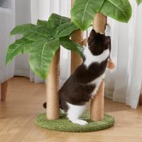 China Cat Coconut Palm Tree Climbing Frame with Natural Sisal Scratch Pole - 15.75