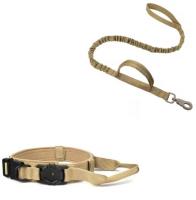 China Nylon Dog Training Collar for Running Walking Hiking Airtag Tracker Protective Case Now for sale