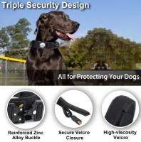 China Nylon Dog Training Collar for Running Walking Hiking Airtag Tracker Protective Case Now for sale