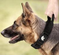China Nylon Dog Training Collar for Running Walking Hiking Airtag Tracker Protective Case Now for sale