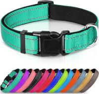 China Adjustable Nylon Reflective Pet Dog Collar and Leash Set with Soft Padded Neoprene 28-60cm for sale