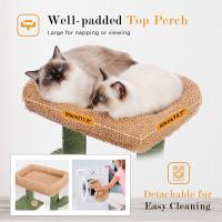 China Cactus Cat Scratching House Small Green Cat Tree with Sisal Post for Indoor Kittens for sale