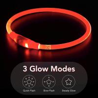 China Acceptable Cuttable Lighted Dog Collar for Pet Waterproof and Durable for sale
