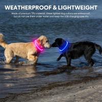 China Acceptable Cuttable Lighted Dog Collar for Pet Waterproof and Durable for sale