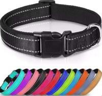 China Custom Reflective Neoprene Nylon Dog Collar Adjustable 28-60cm Neck for Small Dogs for sale