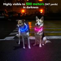 China USB Rechargeable Waterproof LED Dog Collar 70cm 3 Light Modes for Night Walking Training for sale