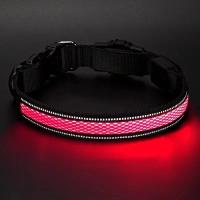 China Adjustable USB Rechargeable LED Safety Light Dog Collar with AirTag Protection - 20-60cm Length, 2.5cm Width for sale