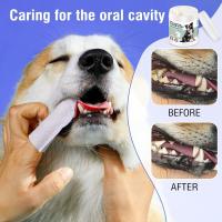 China Custom Logo PET Teeth Wipes with Natural Ingredients for Dogs and Cats - Hypoallergenic Dental Cleaning 15-Pack for sale
