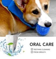 China Custom TPR Squeaky Spike Ball Dog Toy 6.5cm Eco-Friendly Pet Chew Toy for sale