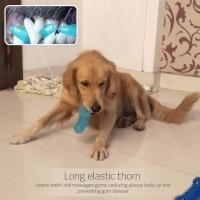 China TPR Dog Bone Toy Durable Chew Toy for Aggressive Chewers Teeth Cleaning 15cm for sale