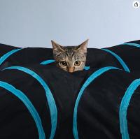 China Customizable 4 Way Cat Tunnel Bed Pop-up Collapsible Pet Tube Toy 25cm x 63cm for sale