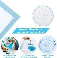 China 56×56cm Pet Training Pads with 3 Cup Capacity - Leak-Proof Disposable Toilet Mat for Dogs and Puppies for sale