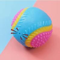 China Custom Logo Indestructible Dog Tennis Ball TPR Pet Toy with Whistle for Outdoor Sports for sale
