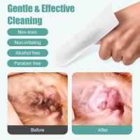 China White or Customized Pet Wet Wipes 15x20cm for Multipurpose Water Bath and Eye Care with Hypoallergenic Formula for sale